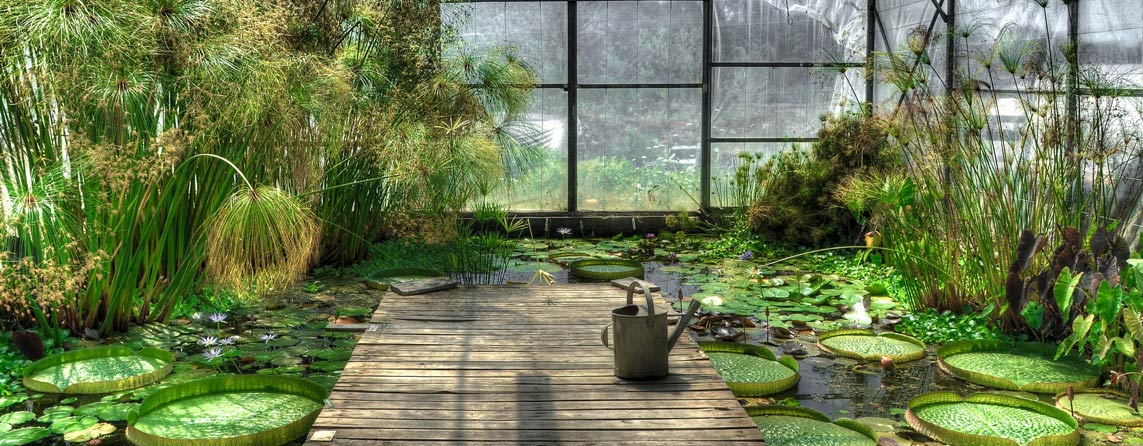 La botanique en France, un point sur les français et le jardinage